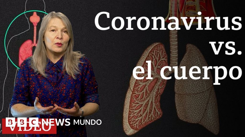 Coronavirus qué le hace el covid 19 al cuerpo BBC News Mundo