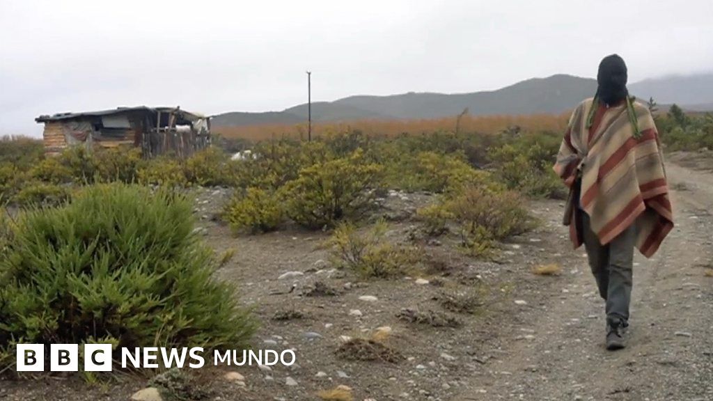 Lo Que Hacemos Es Un Ejercicio De Autodefensa El Conflicto Entre
