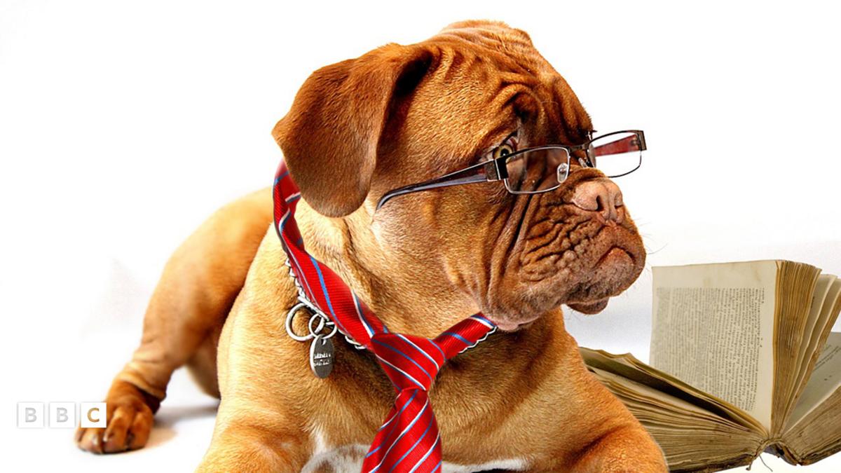 How was your first week at school? - CBBC