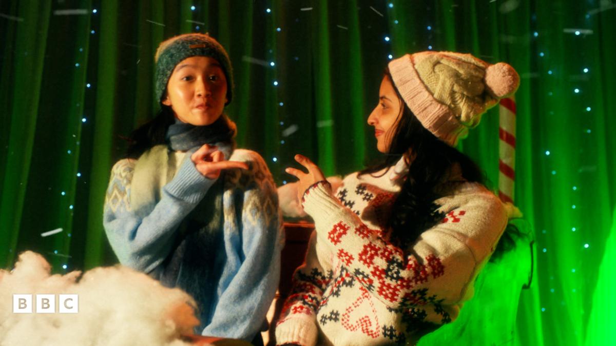 Watch the Stage Stars performing arts school Christmas dance routine ...