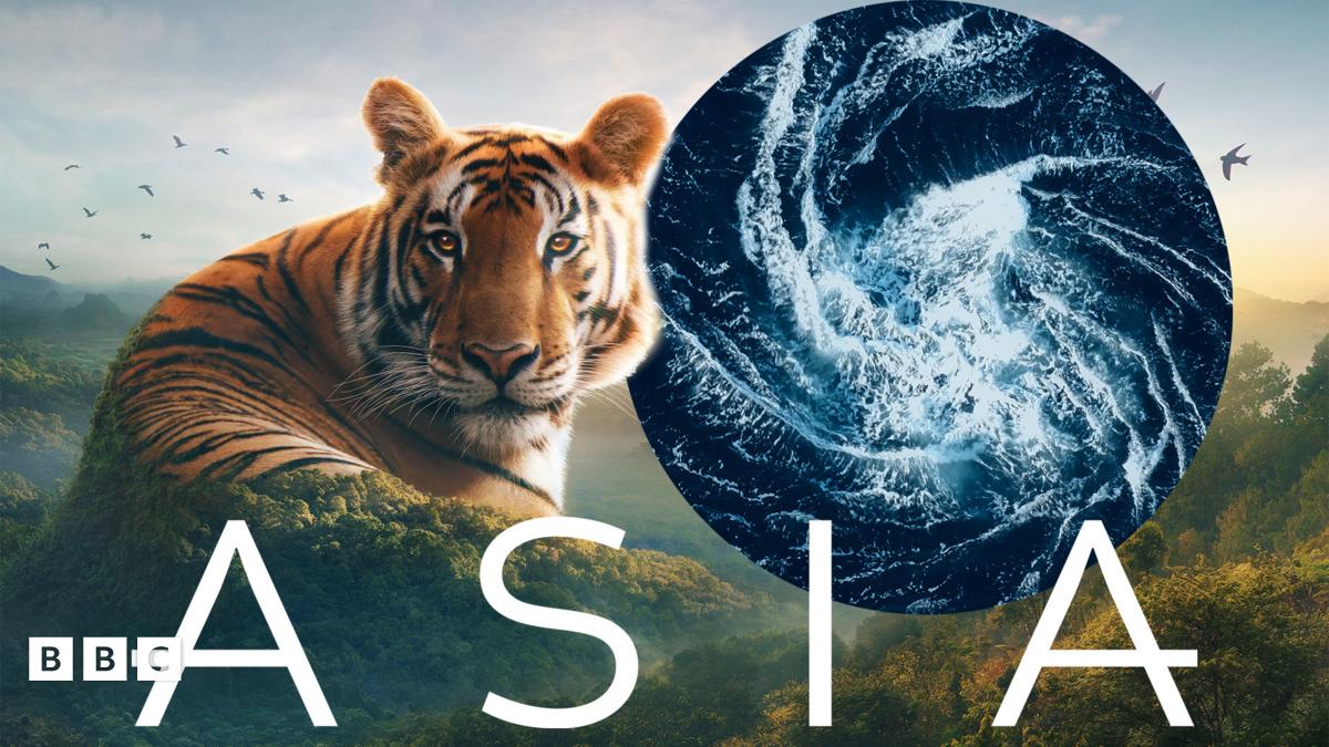 Asia Episode 1 Beneath the Waves | Quiz | Did you know these facts from ...