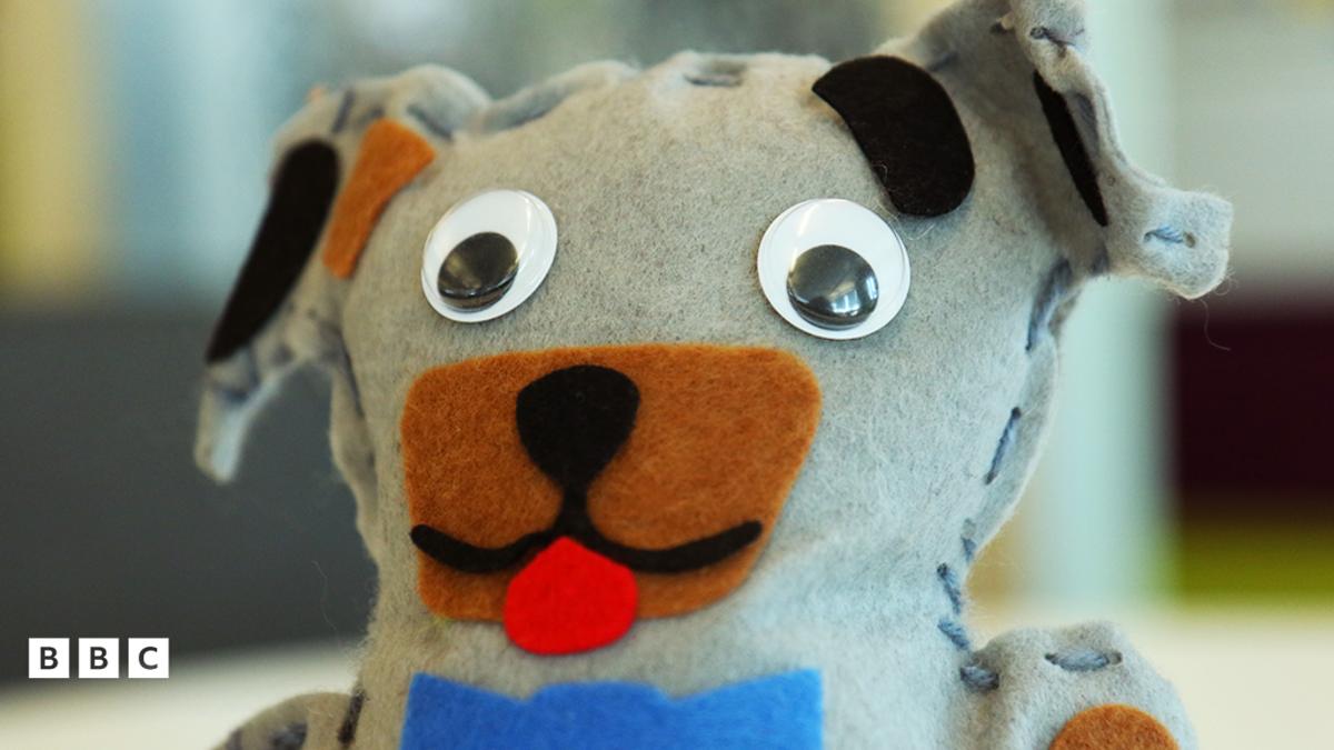 Post of the Week: Dog Teddy - CBBC