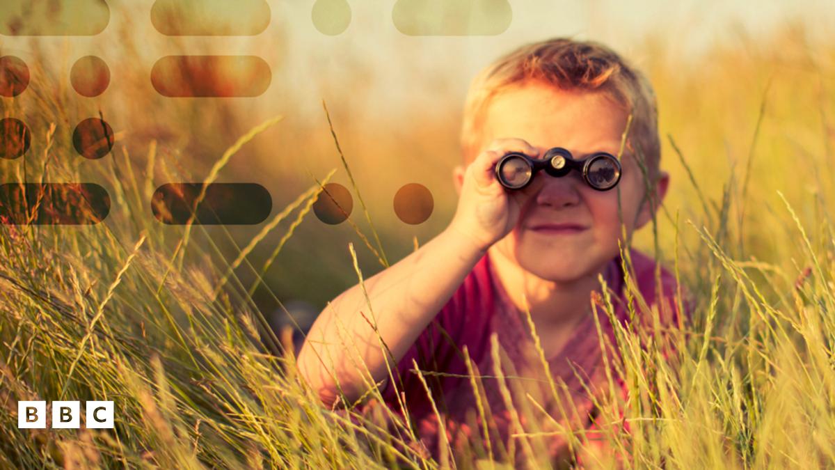 Blue Peter Fun Quizzes | Morse Code Mystery Quiz | Learn Morse Code - CBBC