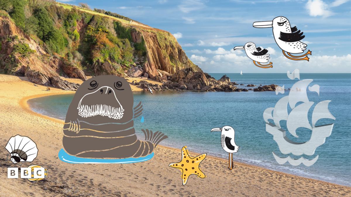 Quiz: Do you know your seaside critters? - CBBC