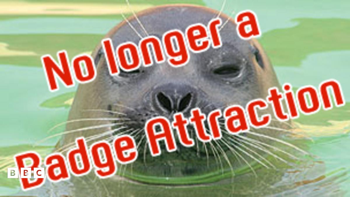 Hunstanton Sea Life and Marine Sanctuary - CBBC