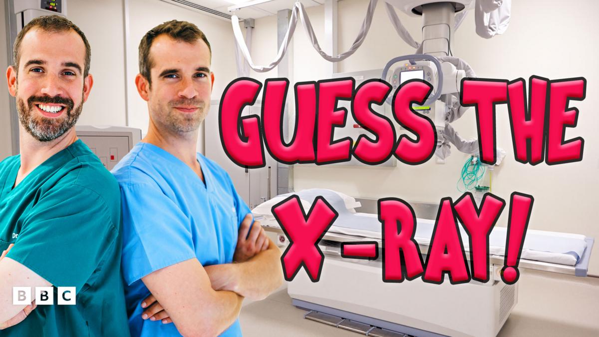 Quiz: Guess the x-ray - CBBC