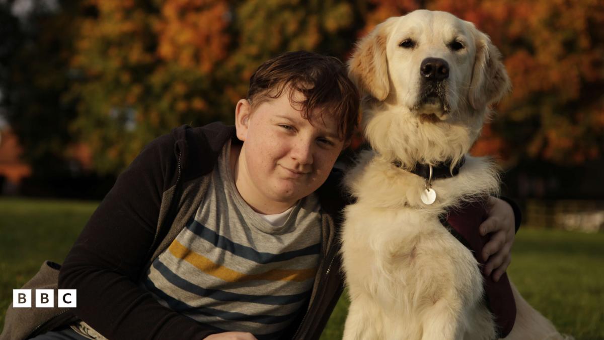 Looking For a Furry Best Friend - CBBC