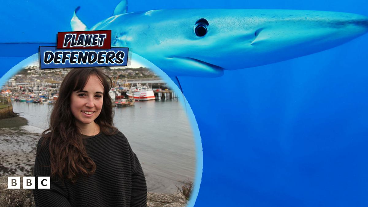 Planet Defenders: Megan meets the amazing sharks of the UK - the blue ...