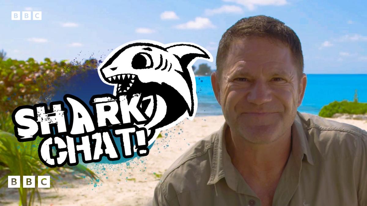 Steve Backshall answers your shark questions - CBBC