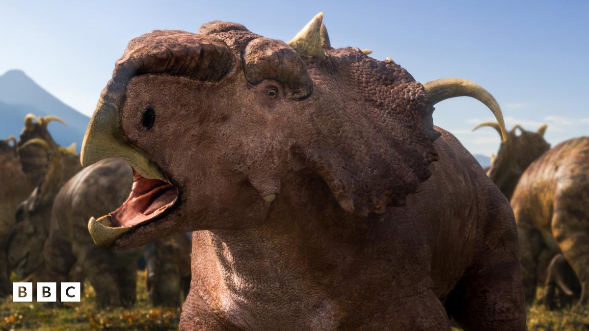 Everything you need to know about dinosaurs - CBBC