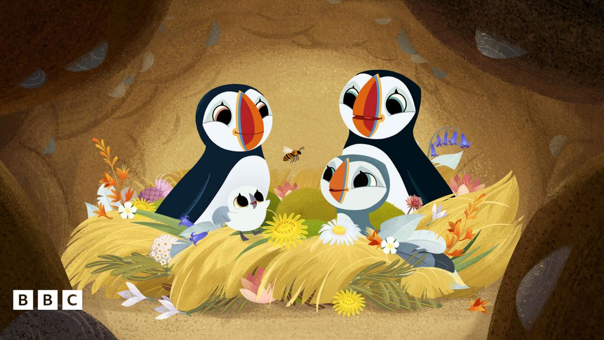 Puffin Rock: Sing-Along to 'Come Rain or Shine' - CBeebies