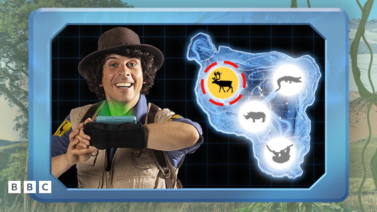 Animal Games For Kids - Andy's Animal Teams - CBeebies