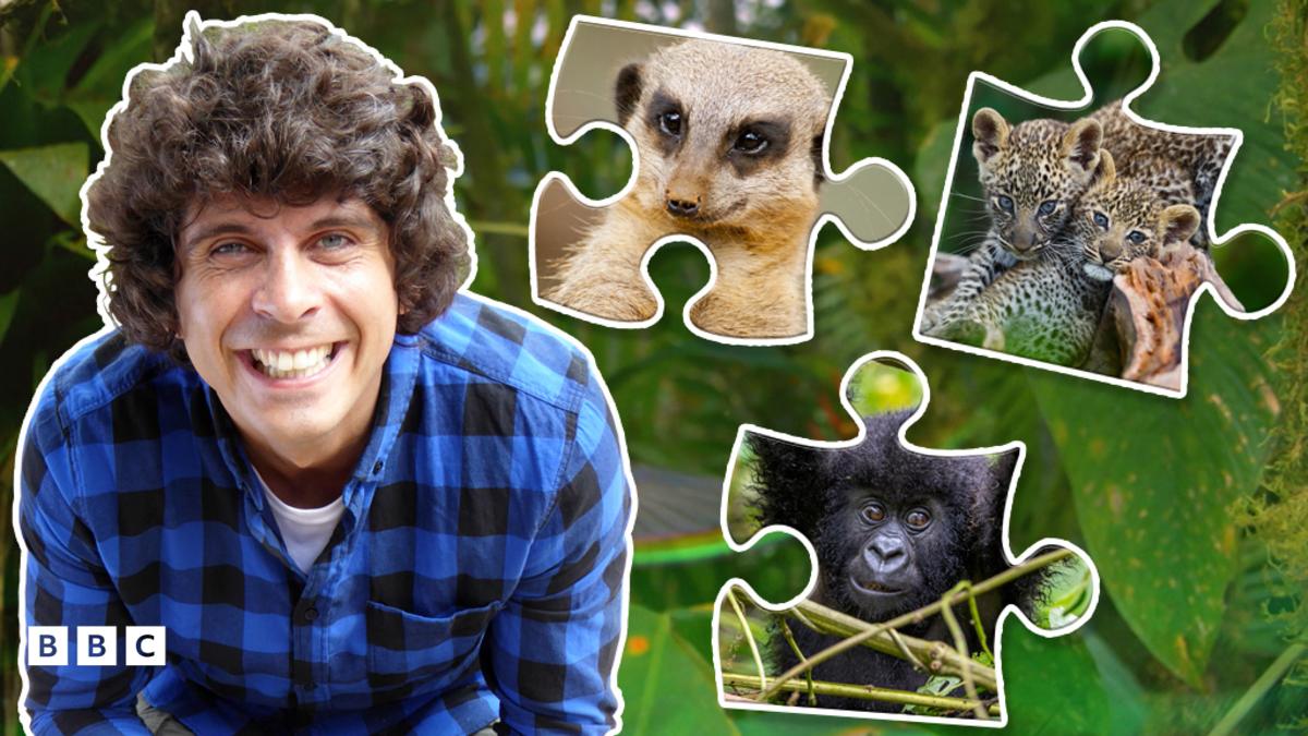 Andy's Baby Animals Jigsaw - CBeebies