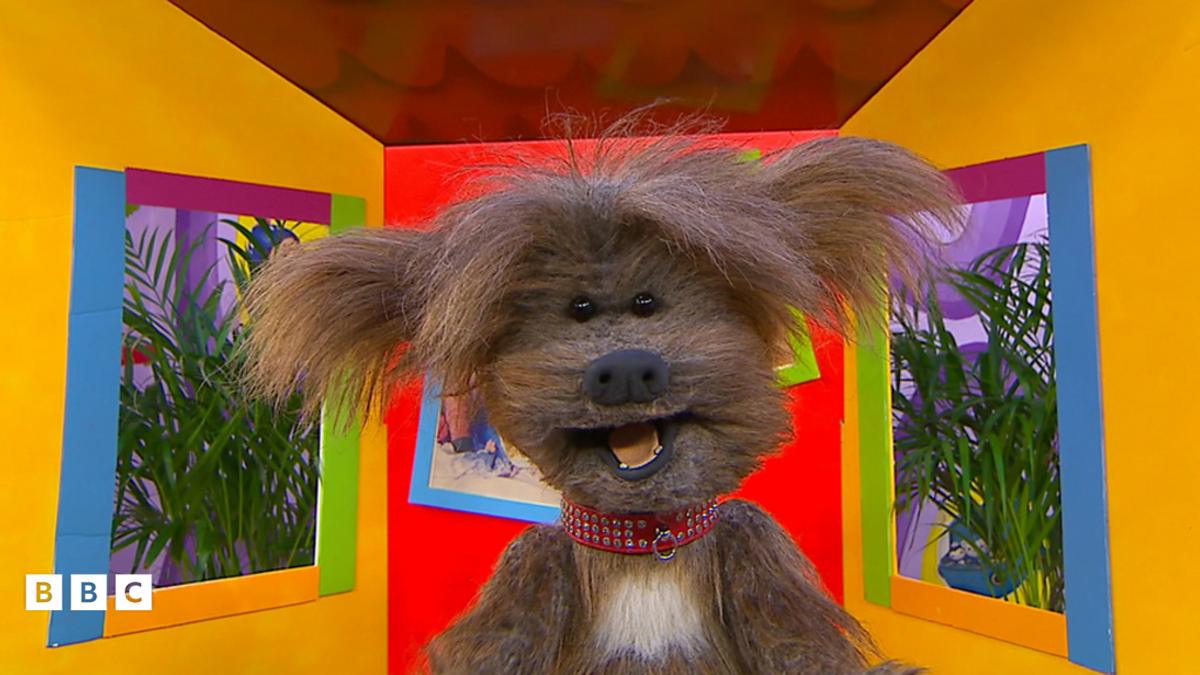 You and your pet pictures - CBeebies
