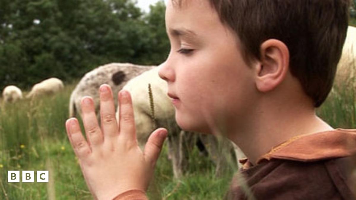 st patrick's day bbc