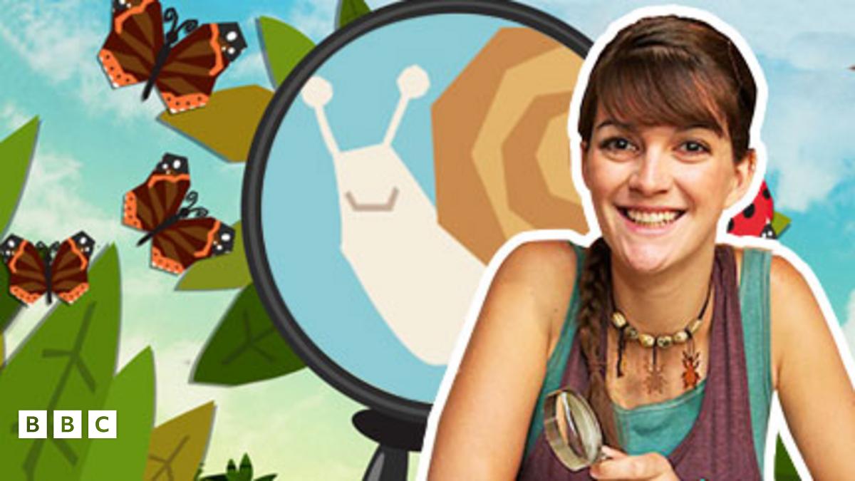 Minibeast Spotter - CBeebies