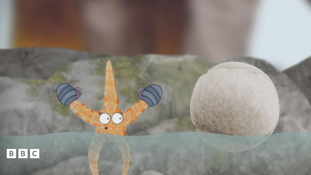 The Tennis Ball - CBeebies