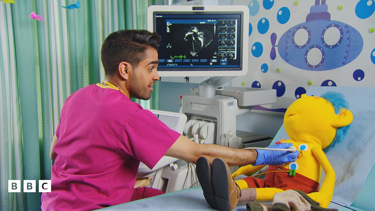 Echocardiogram Song - CBeebies