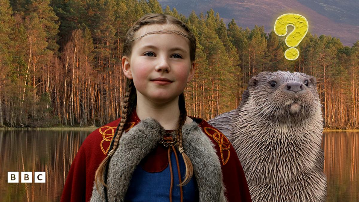 Wildlife Quiz - CBeebies