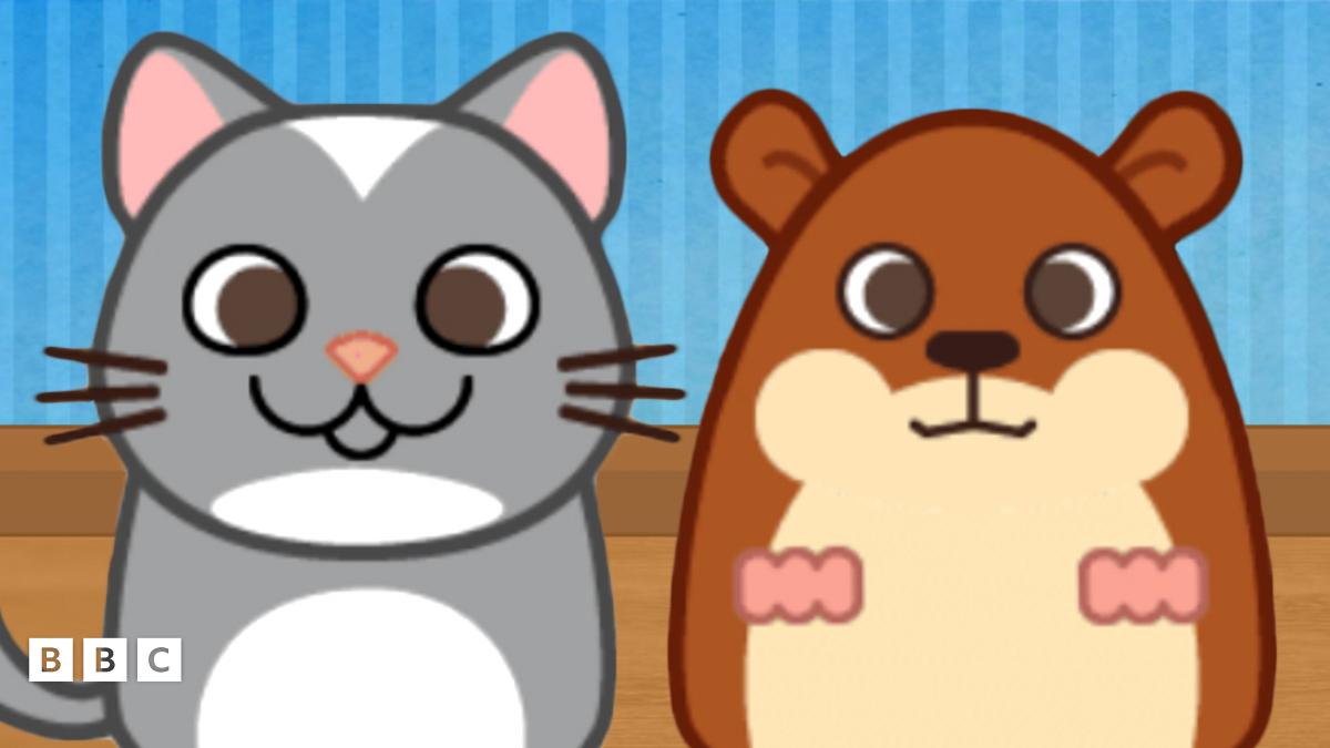 Play the My Pet and Me game on CBeebies. - CBeebies