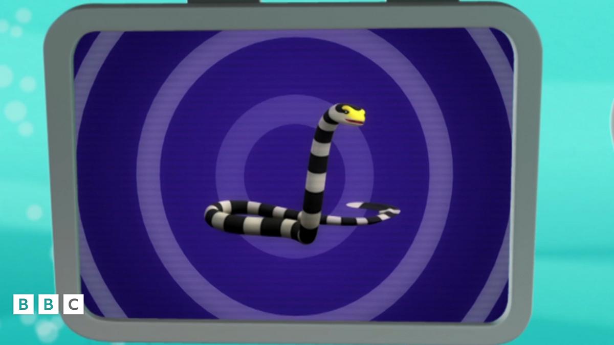 Sea Snake Creature Report - CBeebies