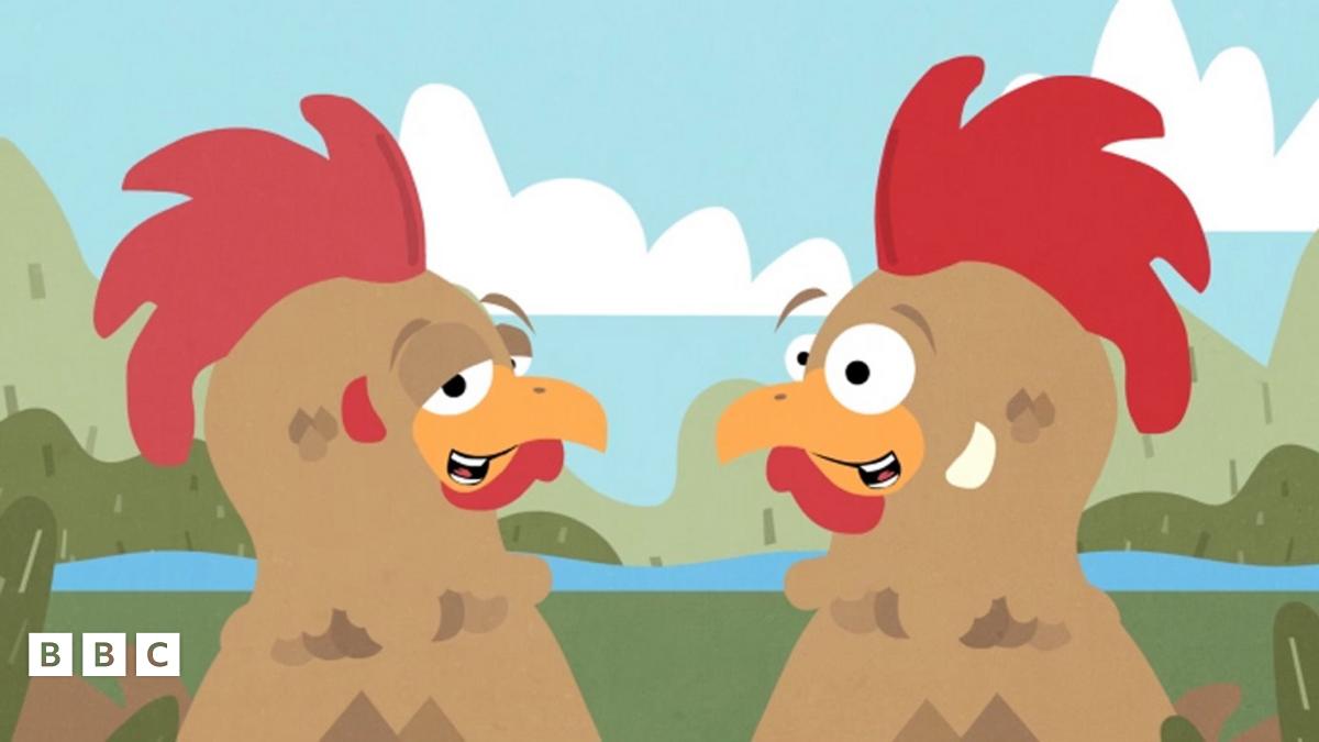 Fact Finding - Birds - CBeebies