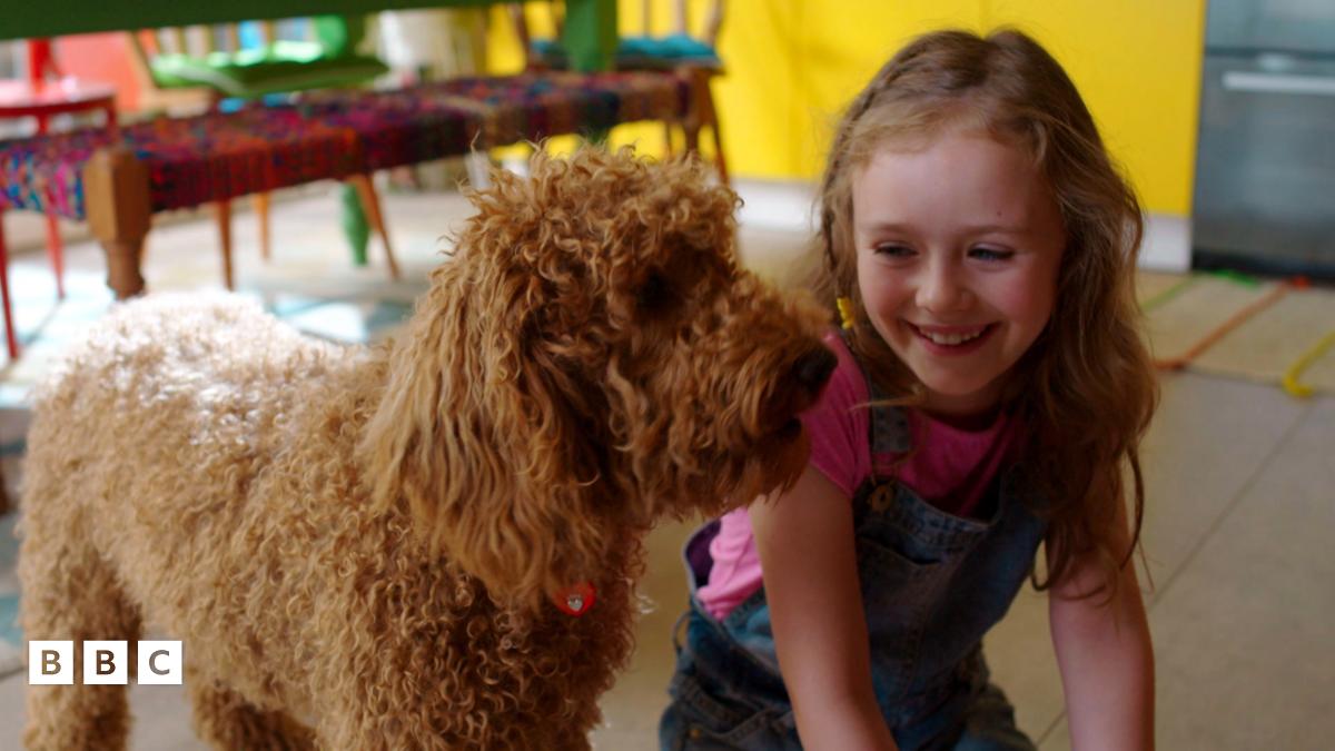 Meet Evie - CBeebies