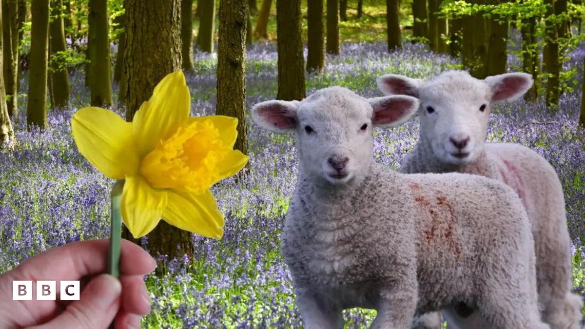 BBC Archive Quiz: Signs of Spring - BBC