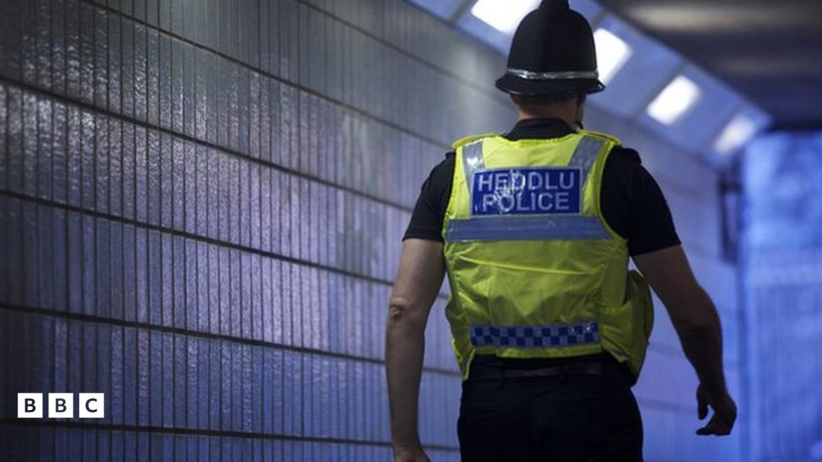 Cynnal ymchwiliadau i 24 o staff Heddlu'r Gogledd - BBC Cymru Fyw
