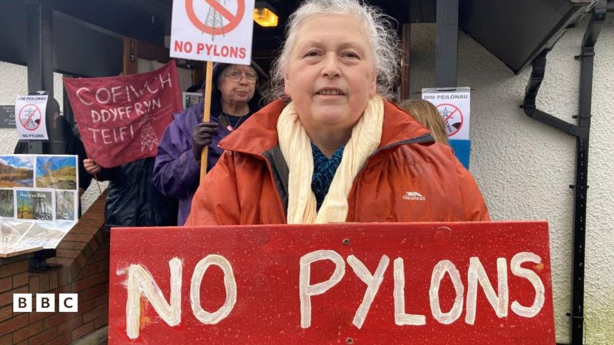 Cynllun peilonau yn 'sarnu lle bendigedig i fyw' - BBC Cymru Fyw