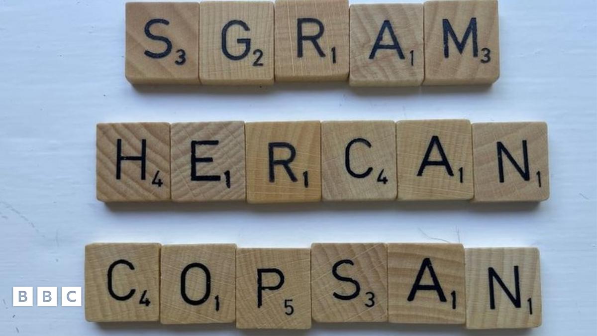 Ymgyrch i gasglu geiriau pobl ifanc ar gyfer dysgwyr - BBC Cymru Fyw