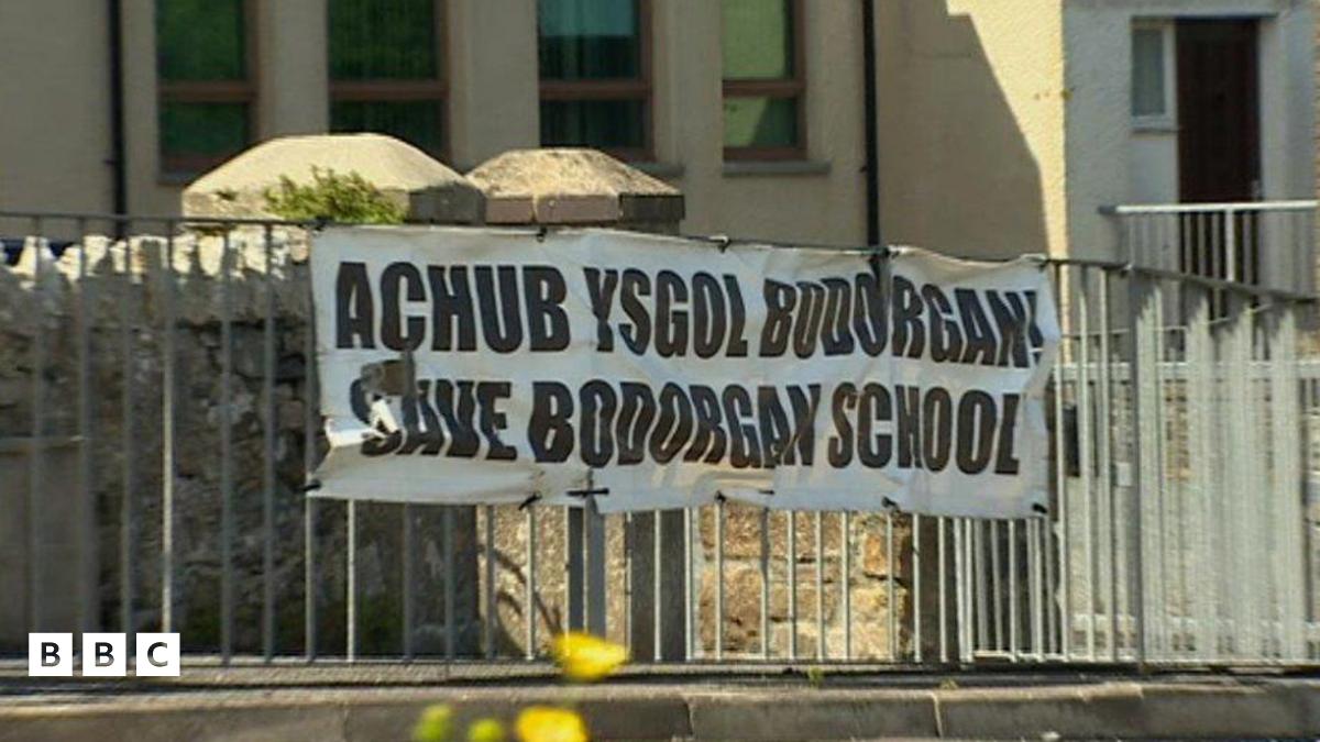 Canllawiau newydd ysgolion bach yn dod i rym - BBC Cymru Fyw