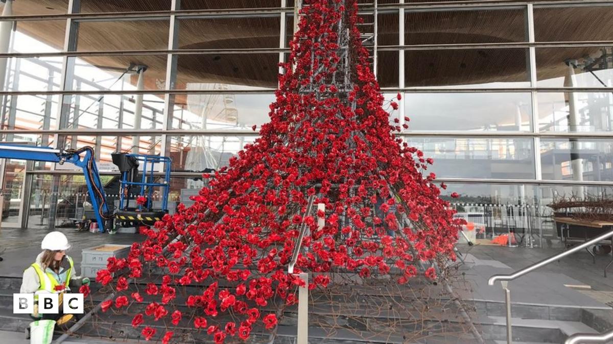 Cerflun pabïau wedi cyrraedd y Cynulliad yng Nghaerdydd - BBC Cymru Fyw