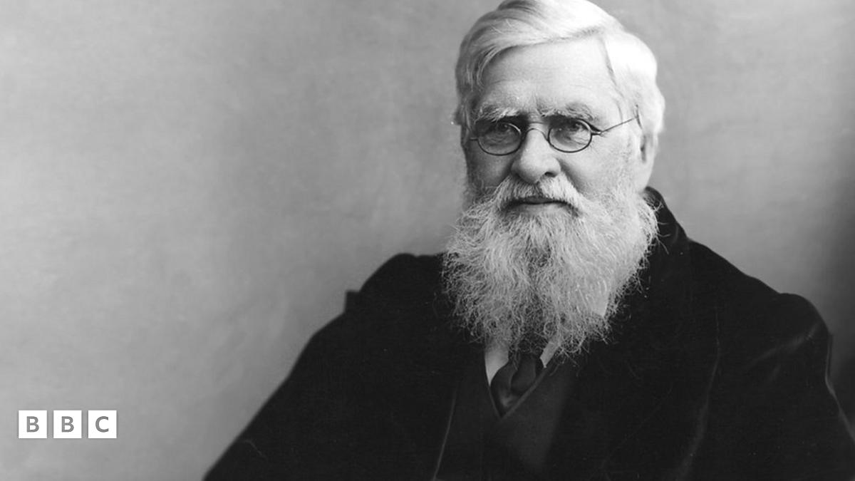 Mwy na ond 'y Darwin Cymreig' - BBC Cymru Fyw