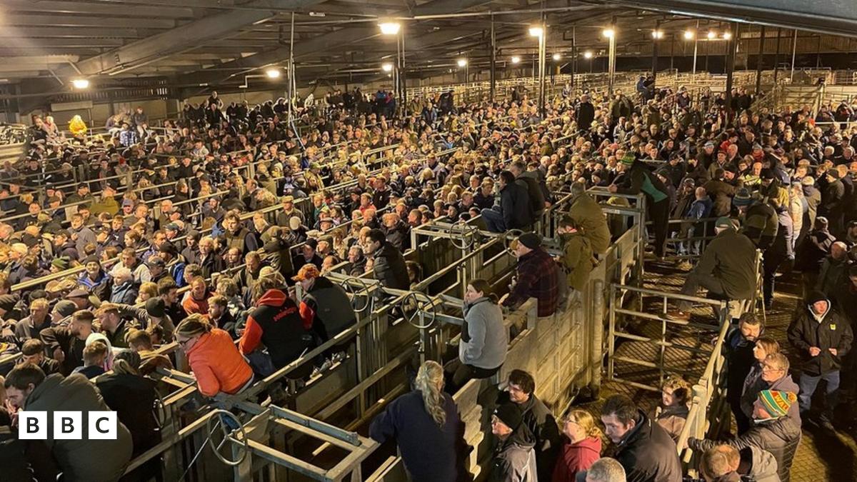 Cynnig trafod â ffermwyr wedi cyfarfod tanllyd Caerfyrddin - BBC Cymru Fyw