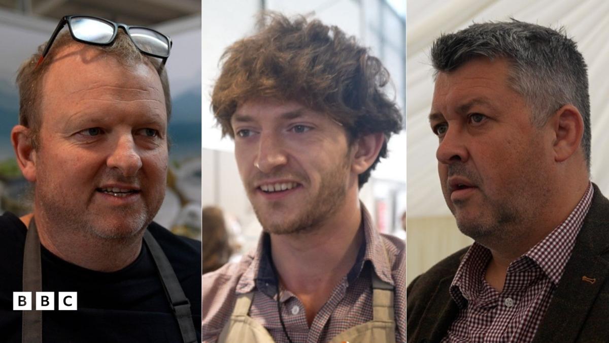 Croesawu mwy o gefnogaeth i ffermio organig - BBC Cymru Fyw