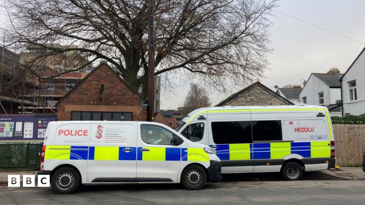 Cyhuddo dyn o dreisio wedi digwyddiad Pontcanna, Caerdydd - BBC Cymru Fyw