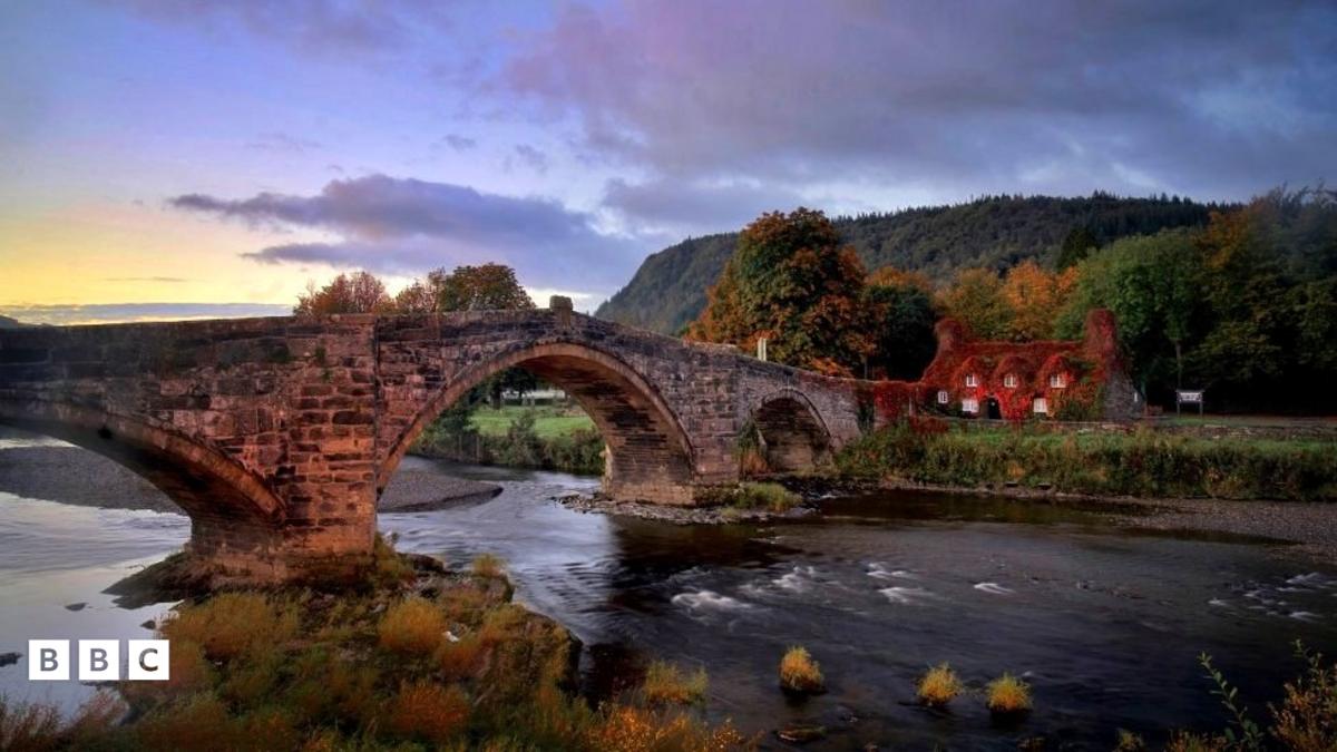 Oriel yr hydref a'r gaeaf: 'Y tymor gorau i dynnu lluniau' - BBC Cymru Fyw