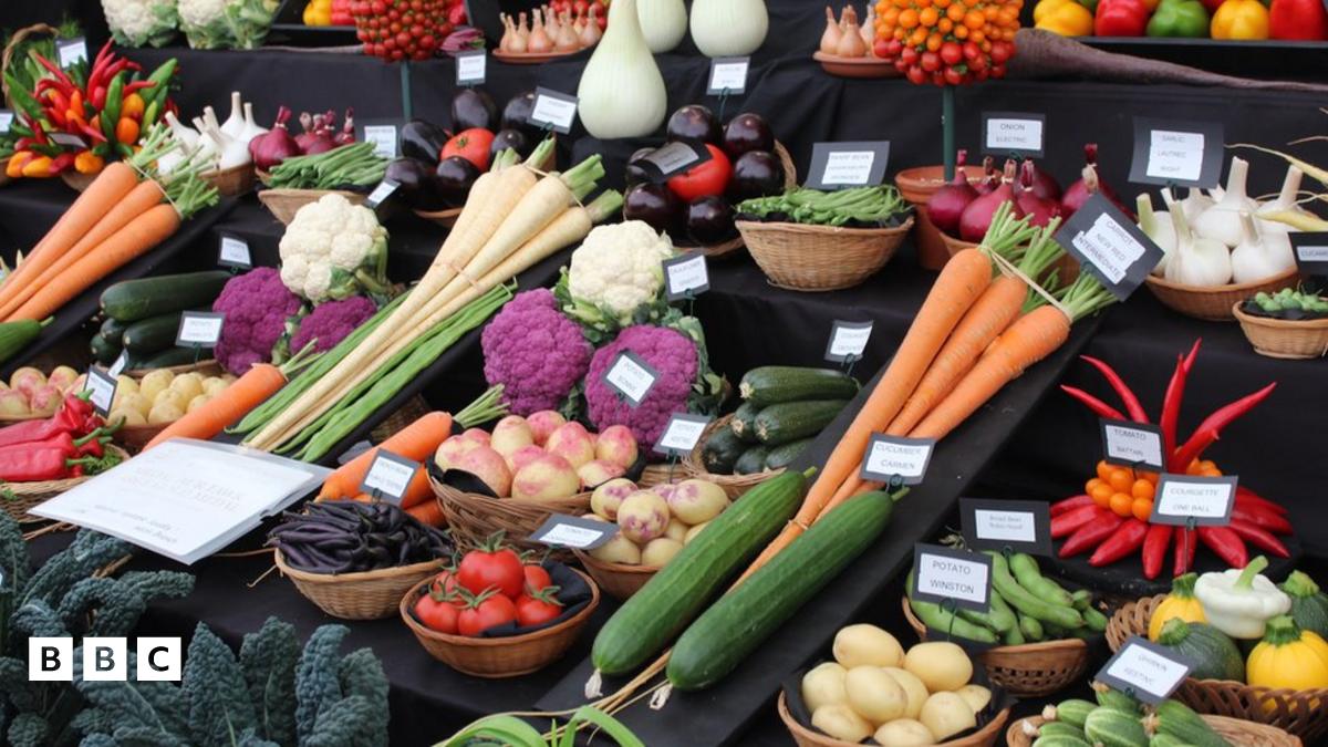 Y Sioe Fawr: Lluniau'r wythnos - BBC Cymru Fyw