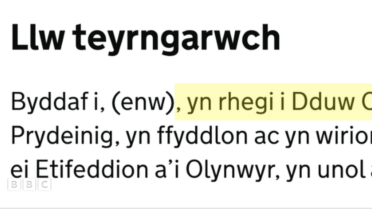 'Cyfrifoldeb i gyfieithu a sillafu'r iaith yn gywir' medd ASau - BBC ...
