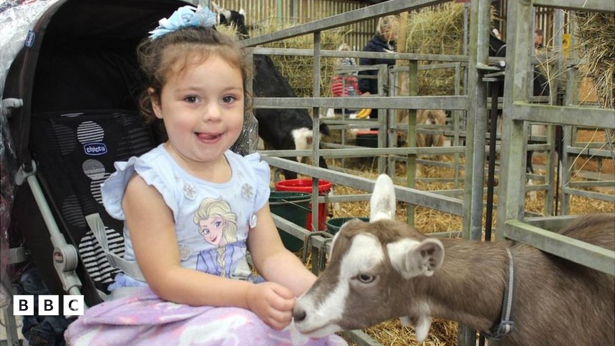 Royal Welsh Show: Pictures from the first day in Llanelwedd - BBC Cymru Fyw