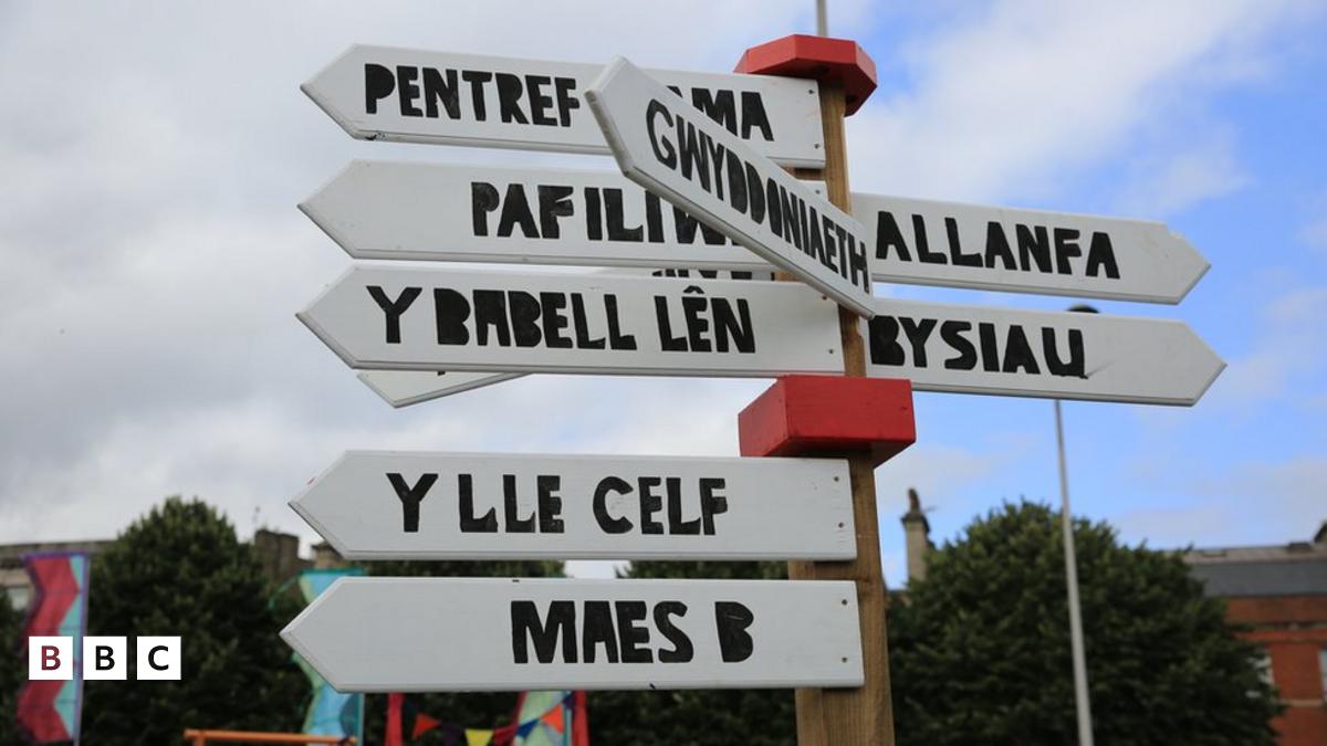 Eisteddfod i 'edrych ar' brisiau mynediad i'r Brifwyl eleni - BBC Cymru Fyw