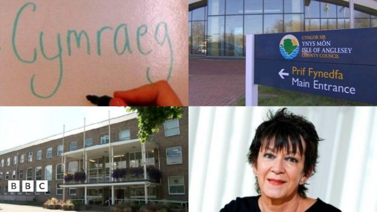 Safonau iaith yn 'rhy fiwrocrataidd,' yn ôl mudiad - BBC Cymru Fyw