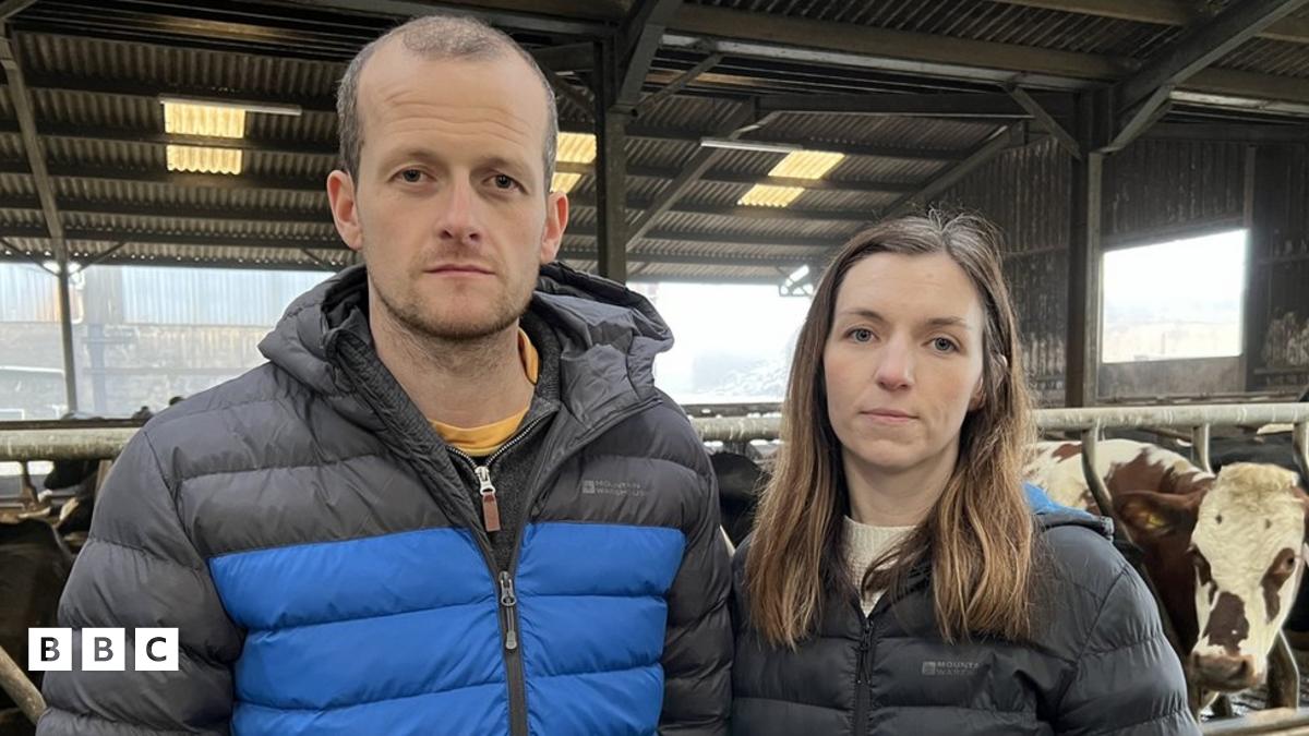 TB yng Nghymru 'wedi gwaethygu'n ofnadwy' ers datganoli - BBC Cymru Fyw