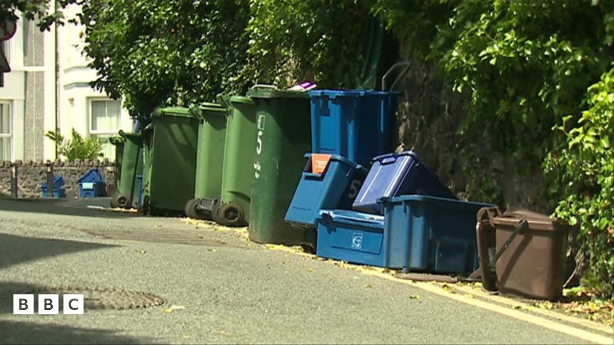 Staff wedi 'taflu deunydd ailgylchu gyda'r sbwriel' - BBC Cymru Fyw