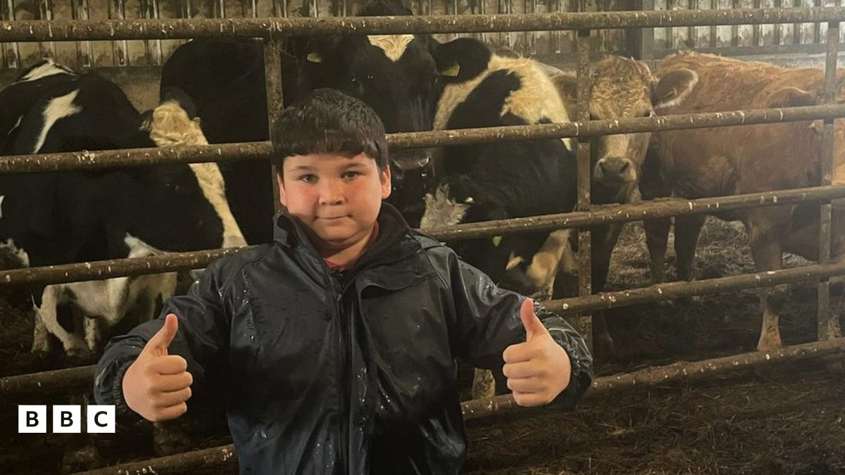 Hanner Tymor Tomos Bwlch - BBC Cymru Fyw