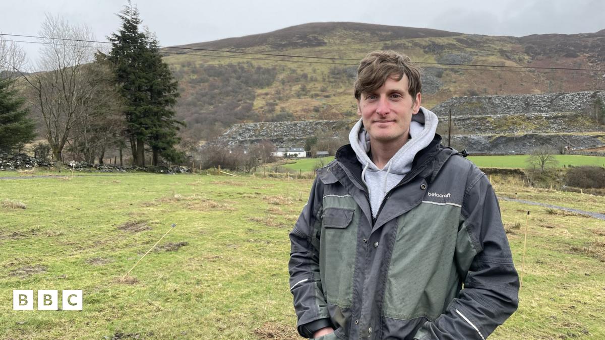 Cynllun i greu perllan gymunedol yng Nghwm Penmachno - BBC Cymru Fyw