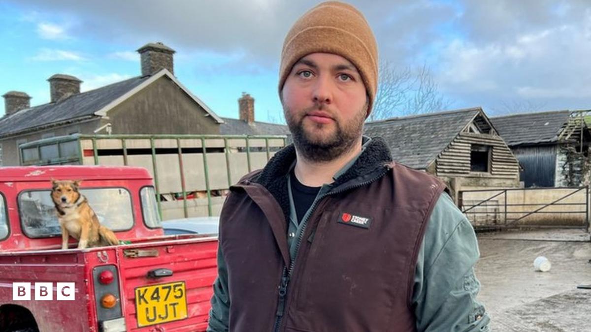 'Pwysau ar ben pwysau' i ffermwyr yn sgil costau uwch - BBC Cymru Fyw