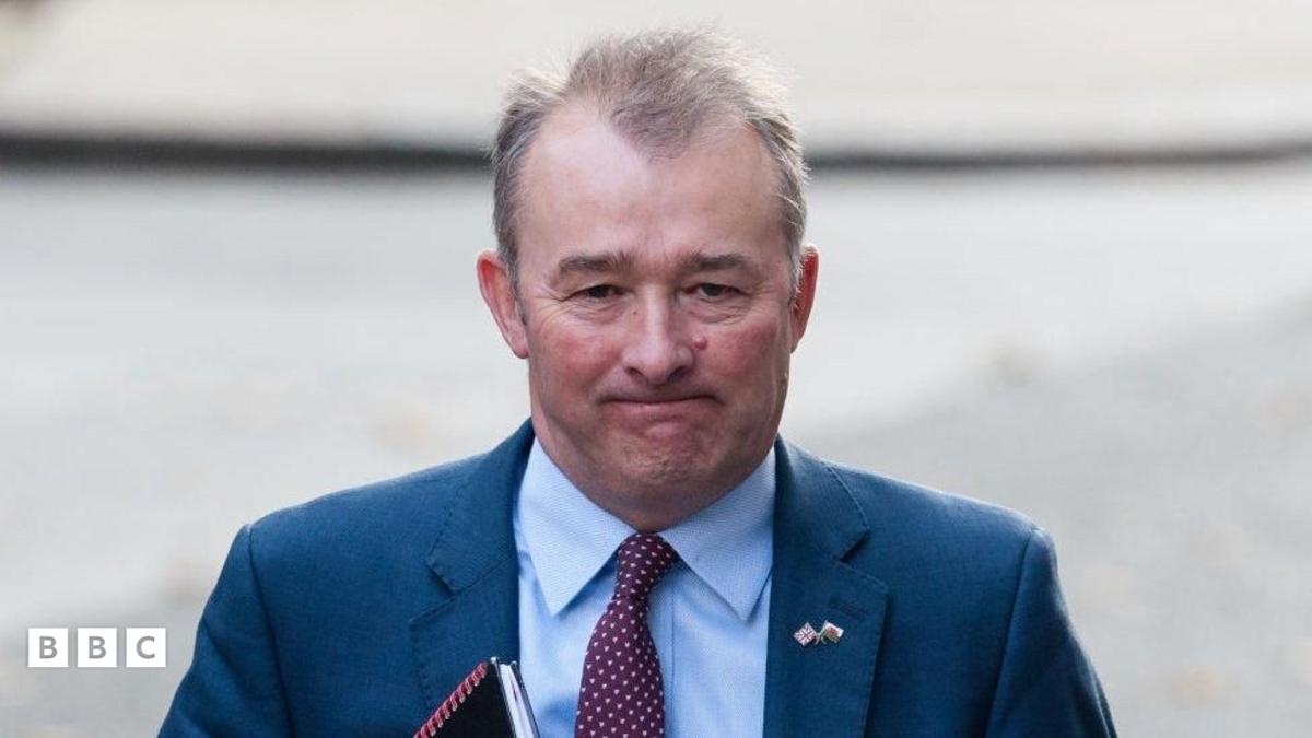 'Gwarthus' gwneud cyn-AS yn arglwydd er llyfr o hanesion preifat - BBC ...