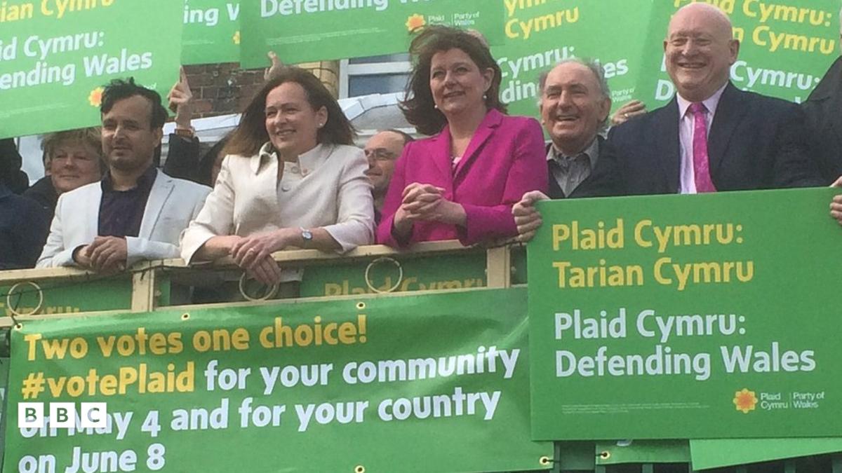 Plaid Cymru'n gobeithio elwa o golledion Llafur - BBC Cymru Fyw